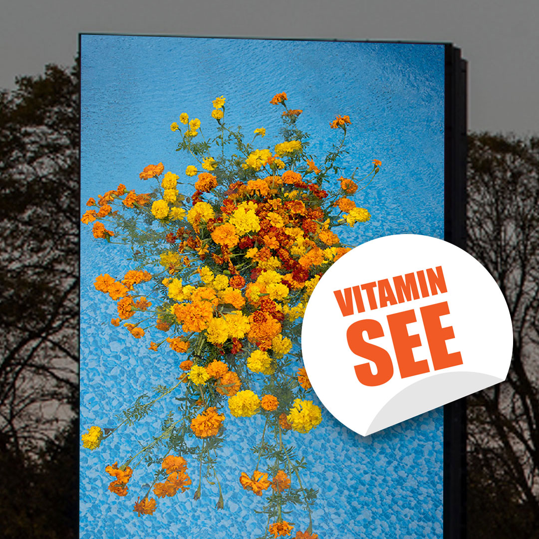 Free Vitamin See - Art Ache